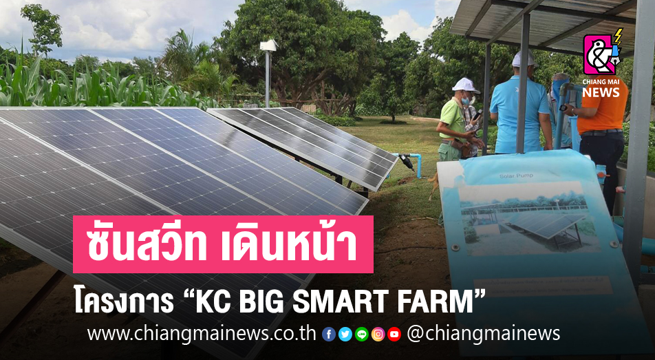 ซันสวีท เดินหน้าโครงการ “KC BIG SMART FARM”พลิกโฉมการเกษตรอย่างยั่งยืน ...