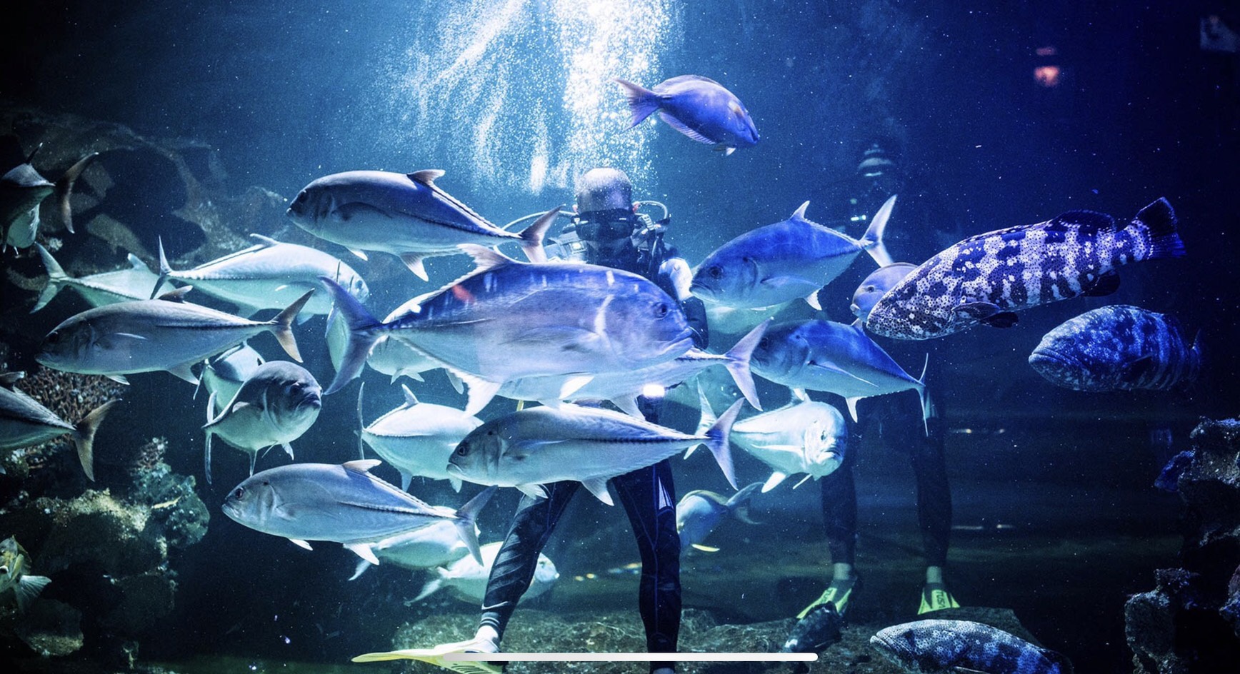 เจ้าของซูอควาเรียม จ้างช่างฟ้อนรำแก้บน หน้าเทวรูปพระพิฆเนศน์ หลังประสพ ...