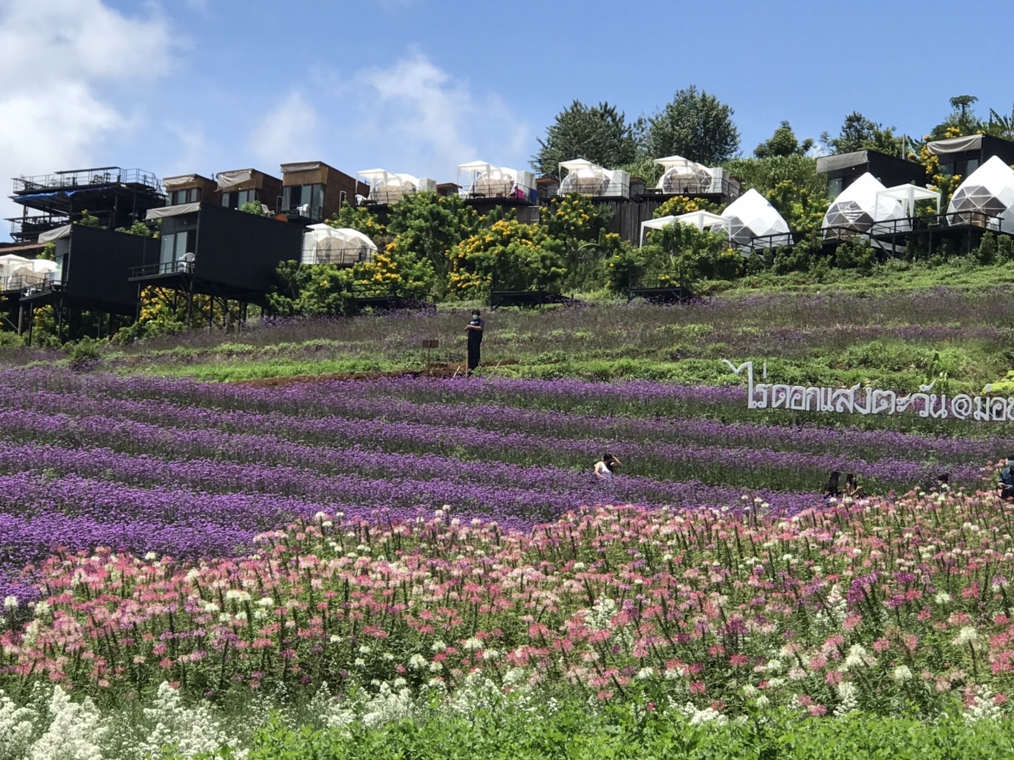 นักท่องเที่ยวเริ่มกลับมาบ้างแล้ว “ดอยม่อนแจ่ม” ที่มีบรรยากาศแบบธรรมชาติ ...