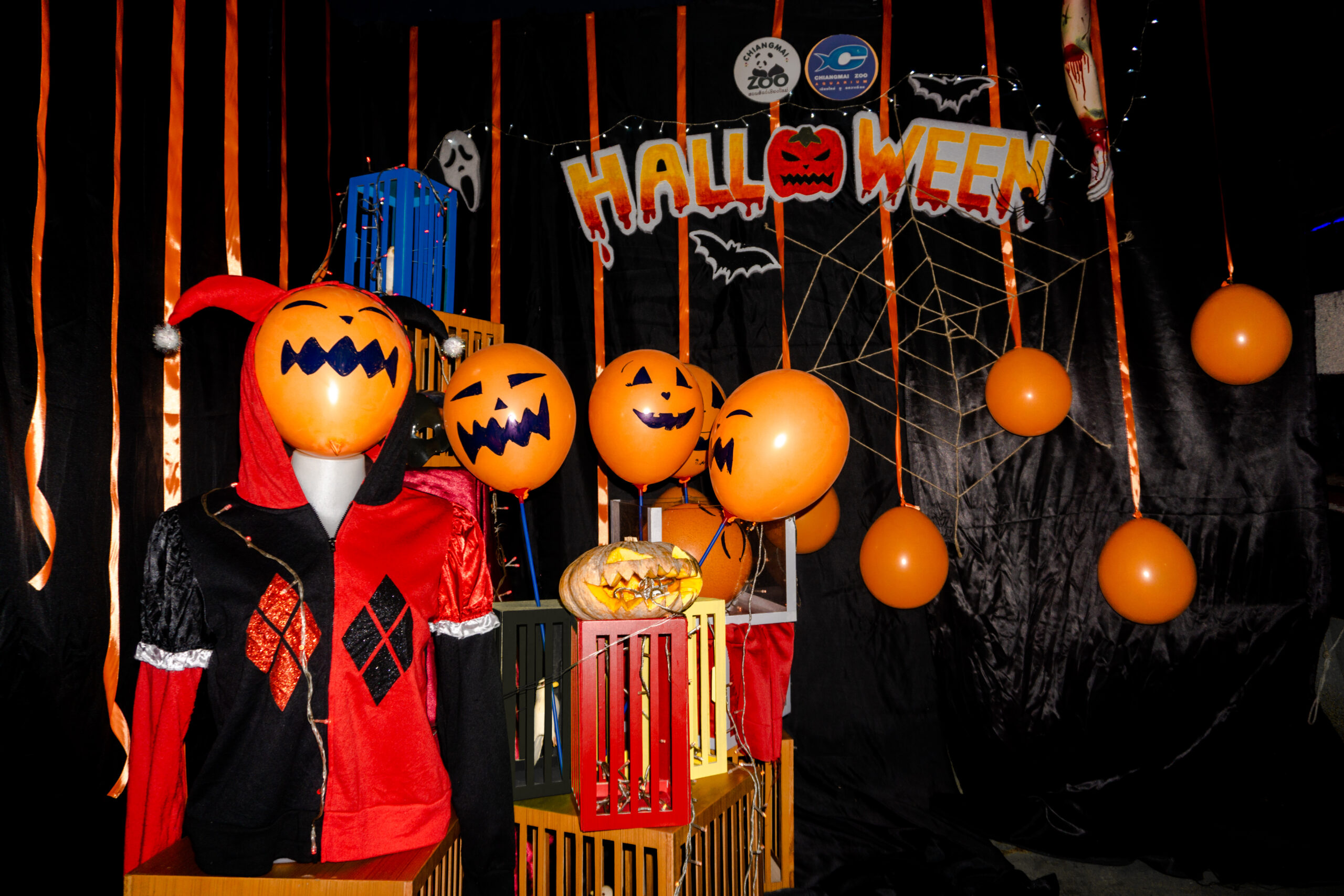 Happy Halloween in the Aquarium @Chiang mai zoo - Chiang Mai News