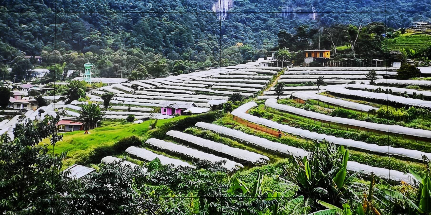 มูลนิธิโครงการหลวงจัดการแถลงข่าว เทศกาล ดี อร่อย โครงการหลวง ROYAL ...