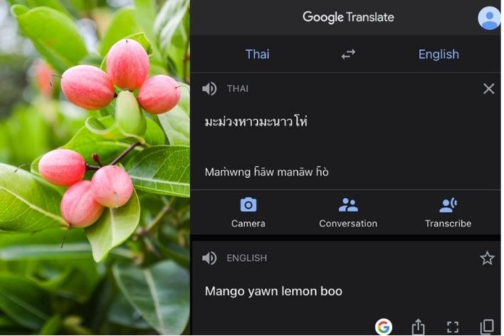 20 ภาพชวนขำกลิ้ง กับการแปลความหมายที่ผิดพลาด - Chiang Mai News