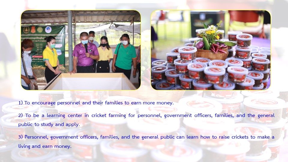 “Cricket Farming Project” for people of Tahan Pan Dee