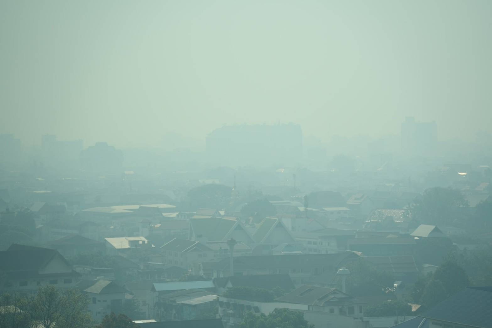 แพทย์ มช. ห่วง วิกฤตฝุ่น PM2.5 พุ่งสูงขึ้นอย่างต่อเนื่อง - Chiang Mai News แพทย์ มช. ห่วง วิกฤตฝุ่น PM2.5 พุ่งสูงขึ้นอย่างต่อเนื่อง - Chiang Mai News