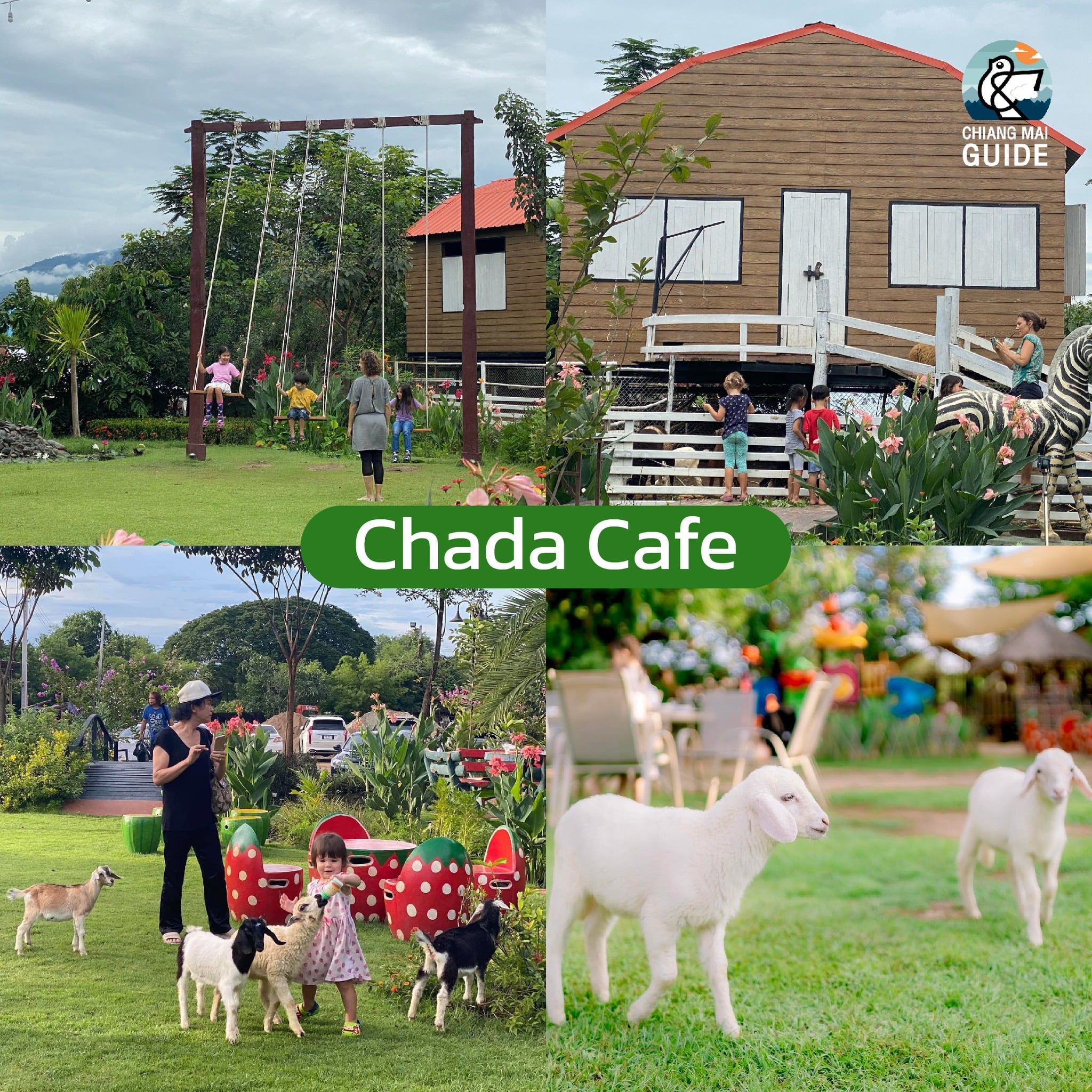 รวม 16 พิกัด ที่เที่ยวครอบครัว @เชียงใหม่ - Chiang Mai News