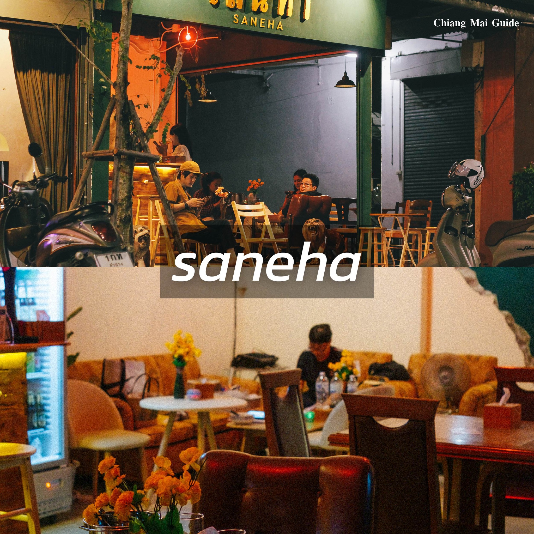 มัดรวม 41 พิกัด ร้าน Hang out ในเชียงใหม่ - Chiang Mai News