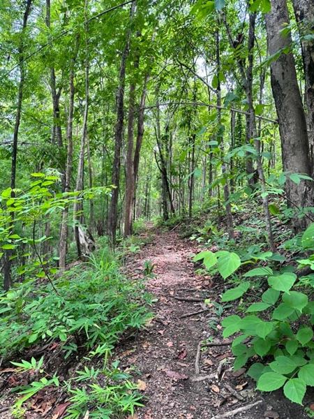 เตรียมออกไปวิ่ง เพื่อลมหายใจ พร้อมกัน…พรุ่งนี้ - Chiang Mai News