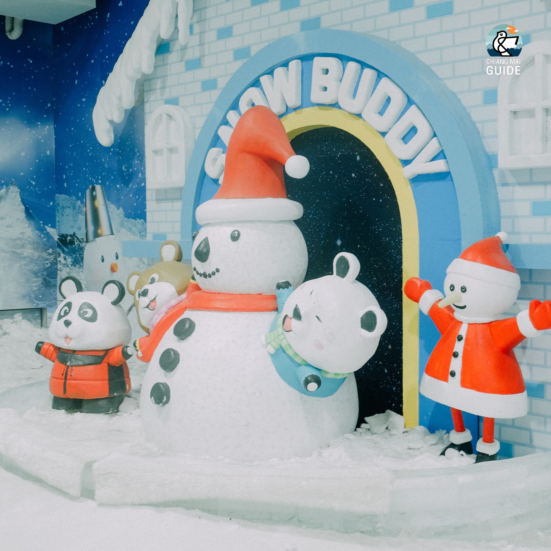 Snow Buddy @สวนสัตว์เชียงใหม่ - Chiang Mai News