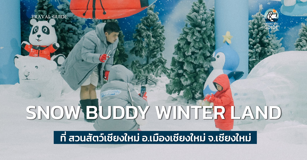Snow Buddy @สวนสัตว์เชียงใหม่ - Chiang Mai News