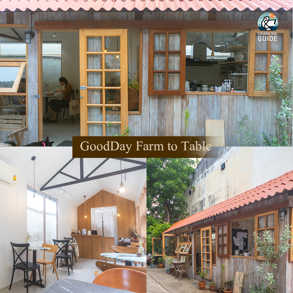 เที่ยว 1 วัน ย่าน ราชวงค์ - ช้างม่อย - Chiang Mai News