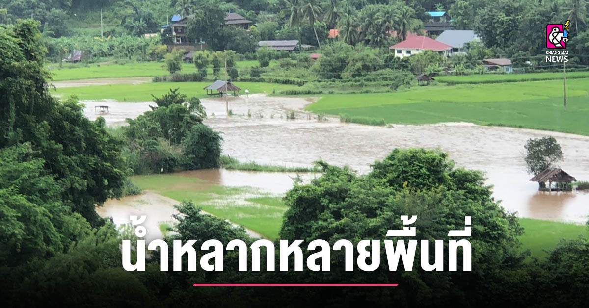 (มีคลิป)แม่ฮ่องสอน ฝนตกหนักน้ำหลากหลายพื้นที่ - Chiang Mai News