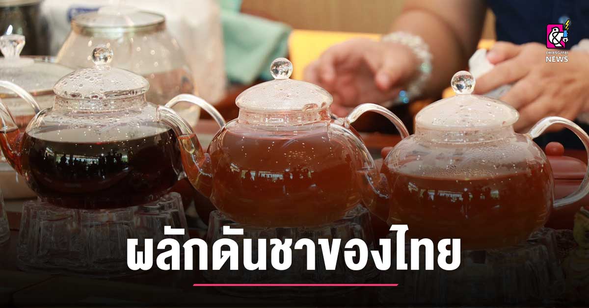 โครงการหลวง เปิดร้าน Royal Project Tea house and Coffee