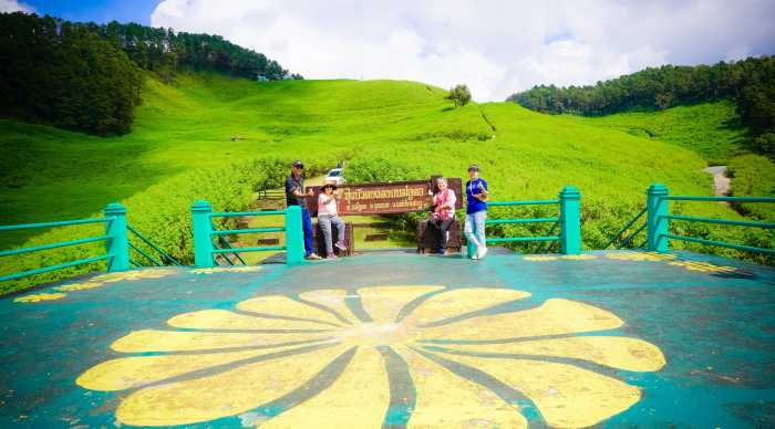 อบต.แม่อูคอ เตรียมเปิดเทศกาลท่องเที่ยวดอกบัวตองบานบนดอยแม่อูคอ