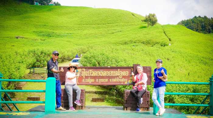 อบต.แม่อูคอ เตรียมเปิดเทศกาลท่องเที่ยวดอกบัวตองบานบนดอยแม่อูคอ