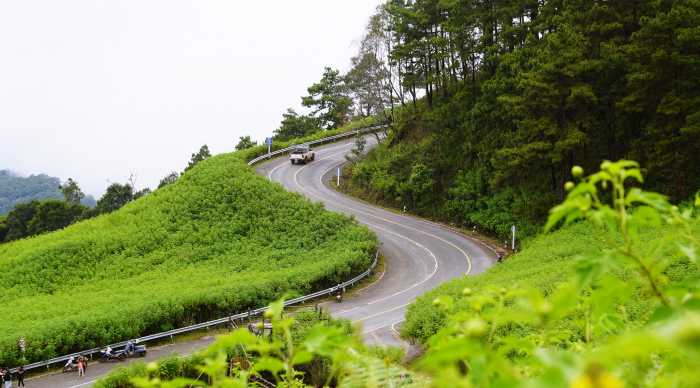 อบต.แม่อูคอ เตรียมเปิดเทศกาลท่องเที่ยวดอกบัวตองบานบนดอยแม่อูคอ