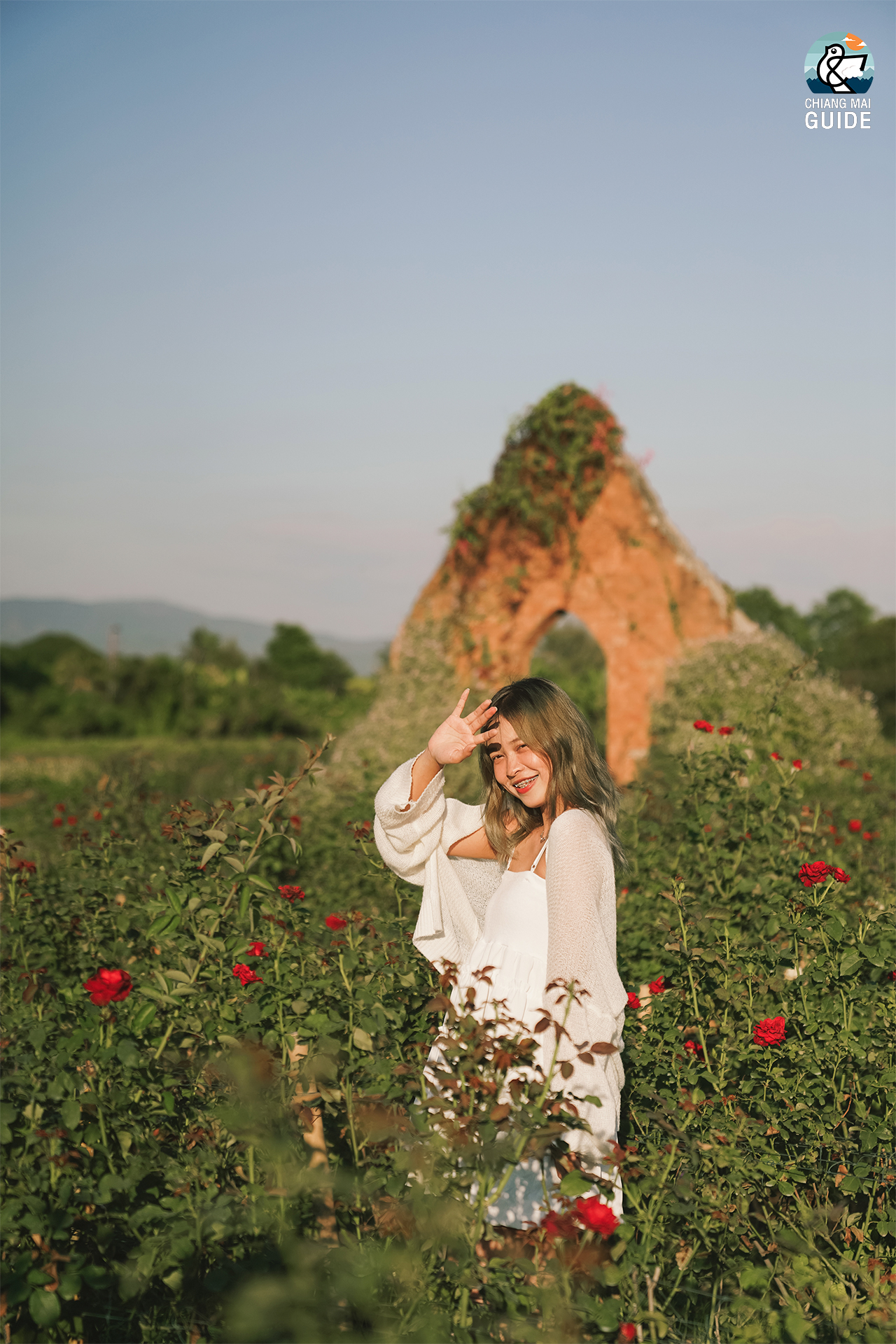 “เทศกาลบอลลูน” ที่ I Love Flower Farm - Chiang Mai News