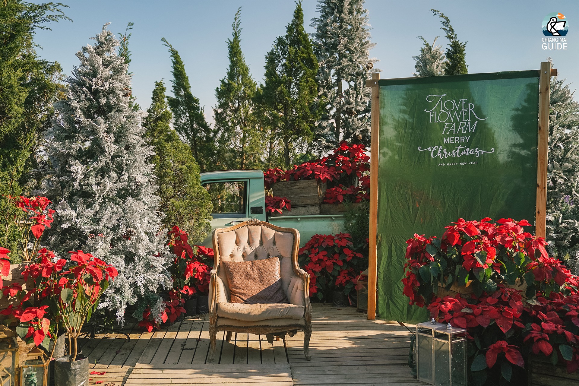 “เทศกาลบอลลูน” ที่ I Love Flower Farm - Chiang Mai News