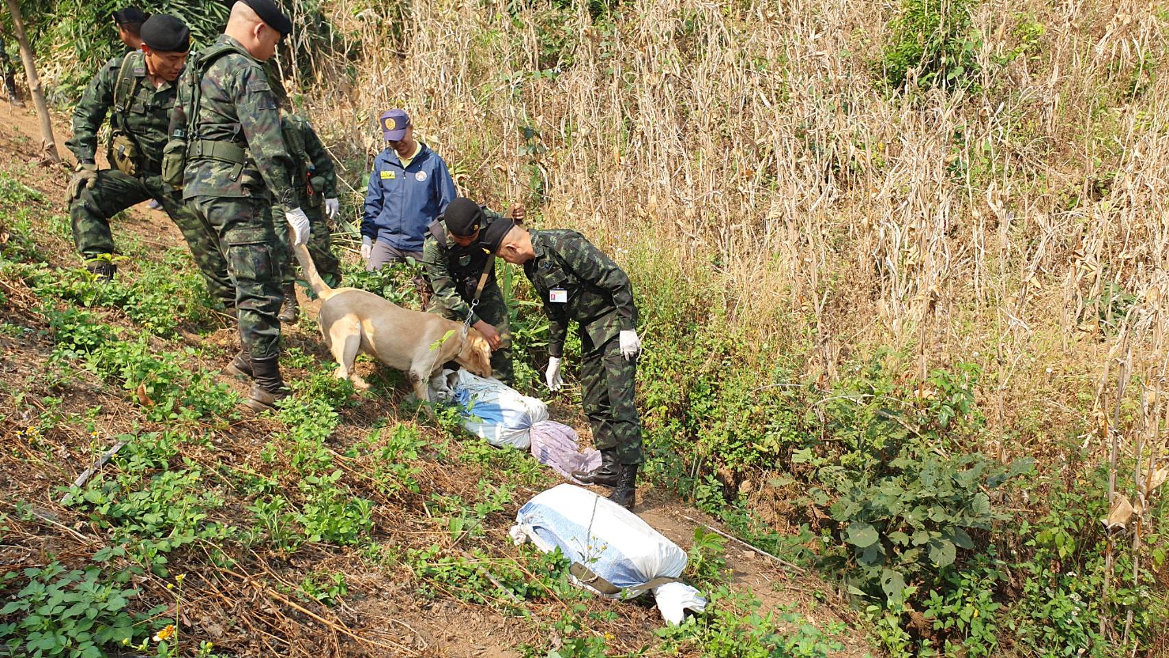 (มีคลิป) ทหารผาเมือง ปะทะ คาราวานยาเสพติดชายแดน ยึดยาบ้า 1.6 ล้านเม็ด