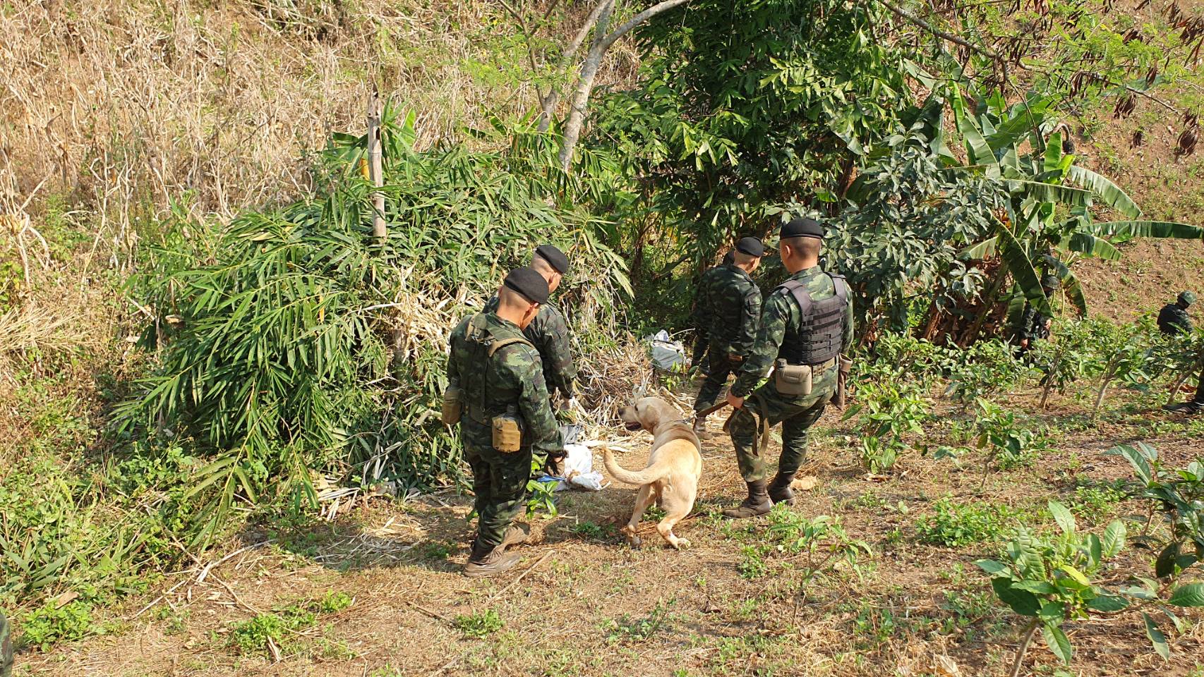 (มีคลิป) ทหารผาเมือง ปะทะ คาราวานยาเสพติดชายแดน ยึดยาบ้า 1.6 ล้านเม็ด