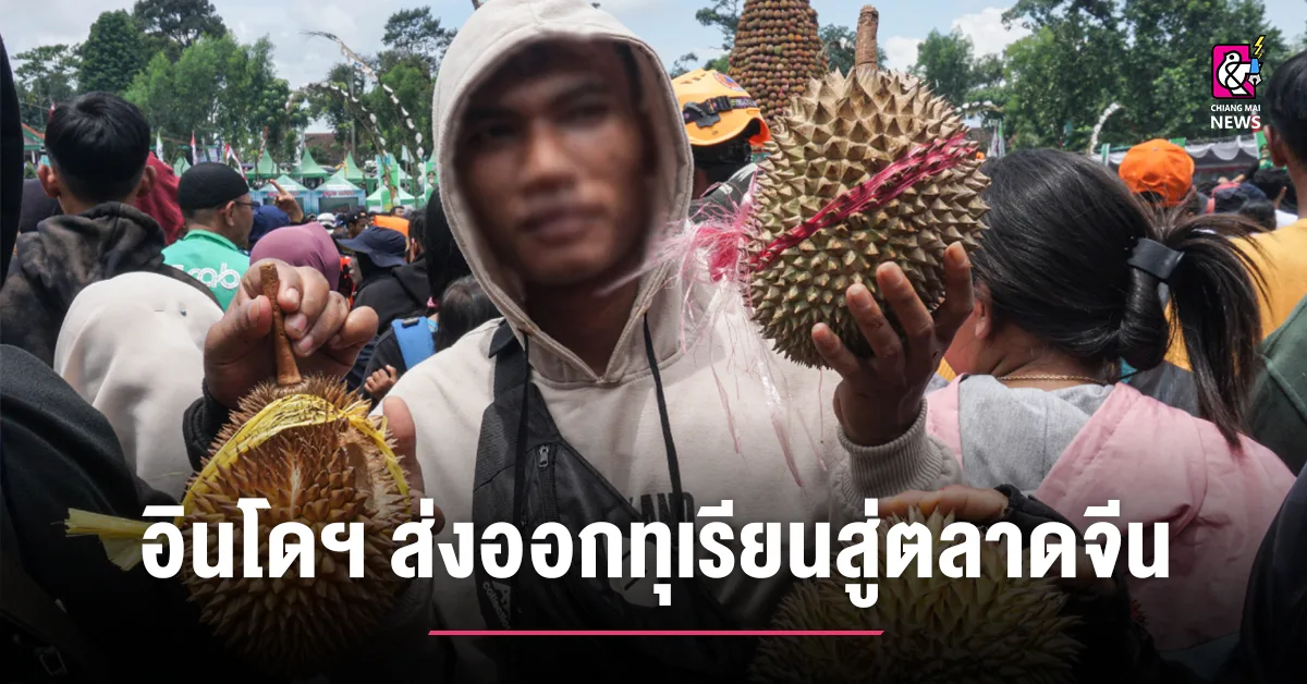 อินโดฯ ลุยส่งออก “ทุเรียน” สู่ตลาดจีน หมอนทองขึ้นแท่นยอดนิยม - Chiang ...