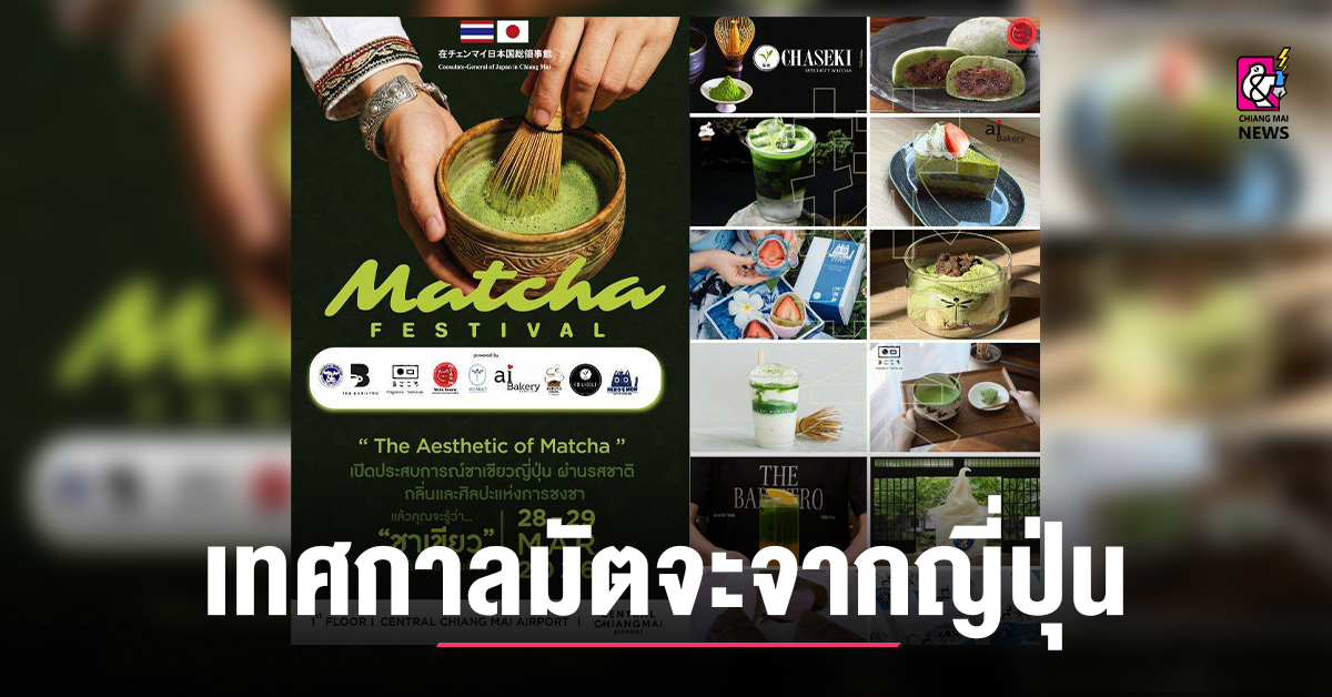 Matcha Festival เทศกาลมัตจะจากญี่ปุ่น สัมผัสวัฒนธรรมชาแท้กลางเชียงใหม่ ...